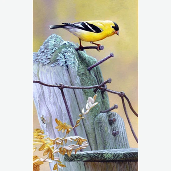 Featured Artist Search | Mid Michigan College - Harrison, MI - Mt ...