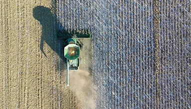 Programs & Pathways | Mid Michigan College - Harrison, Mt. Pleasant, MI