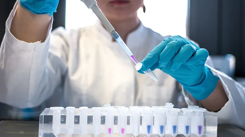 Programs & Pathways | Mid Michigan College - Harrison, Mt. Pleasant, MI